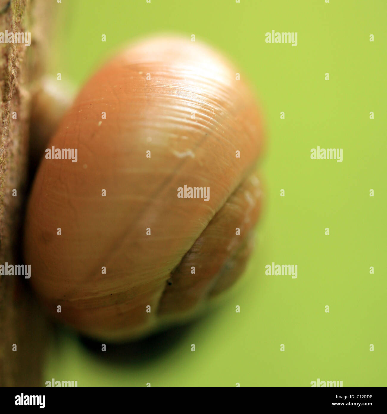 Wallonie, Senenne, Belgium Stock Photo - Alamy