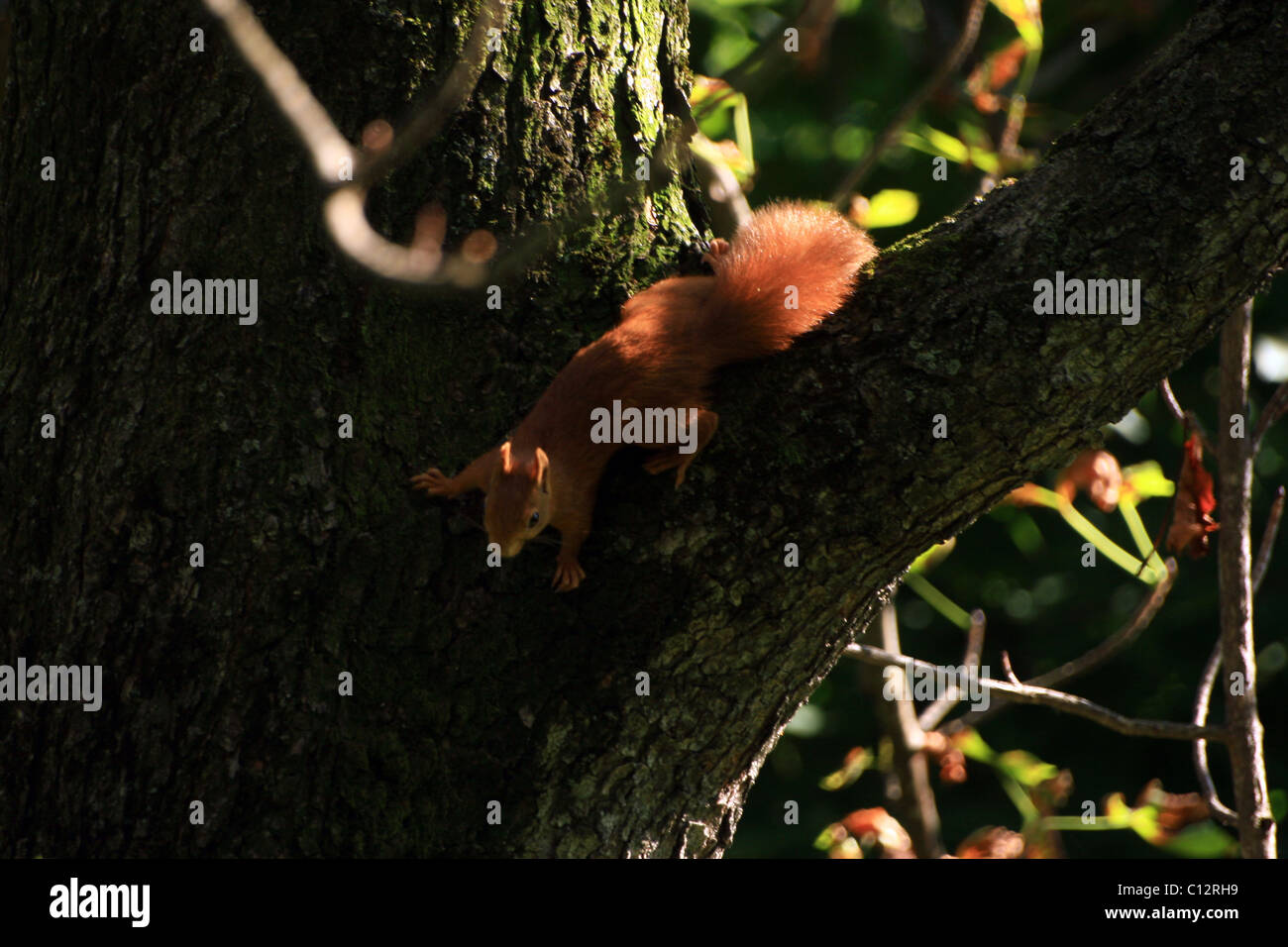 Allex, Drôme, France Stock Photo - Alamy