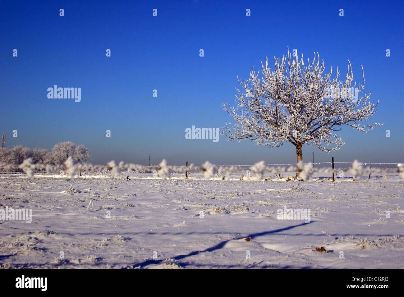 Wallonie, Vedrin, Belgium Stock Photo - Alamy