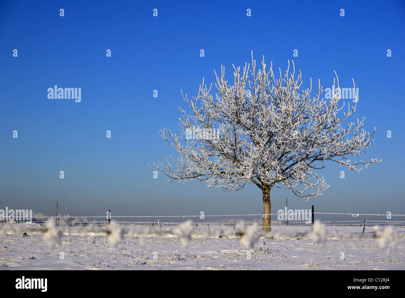 Vedrin hi-res stock photography and images - Alamy