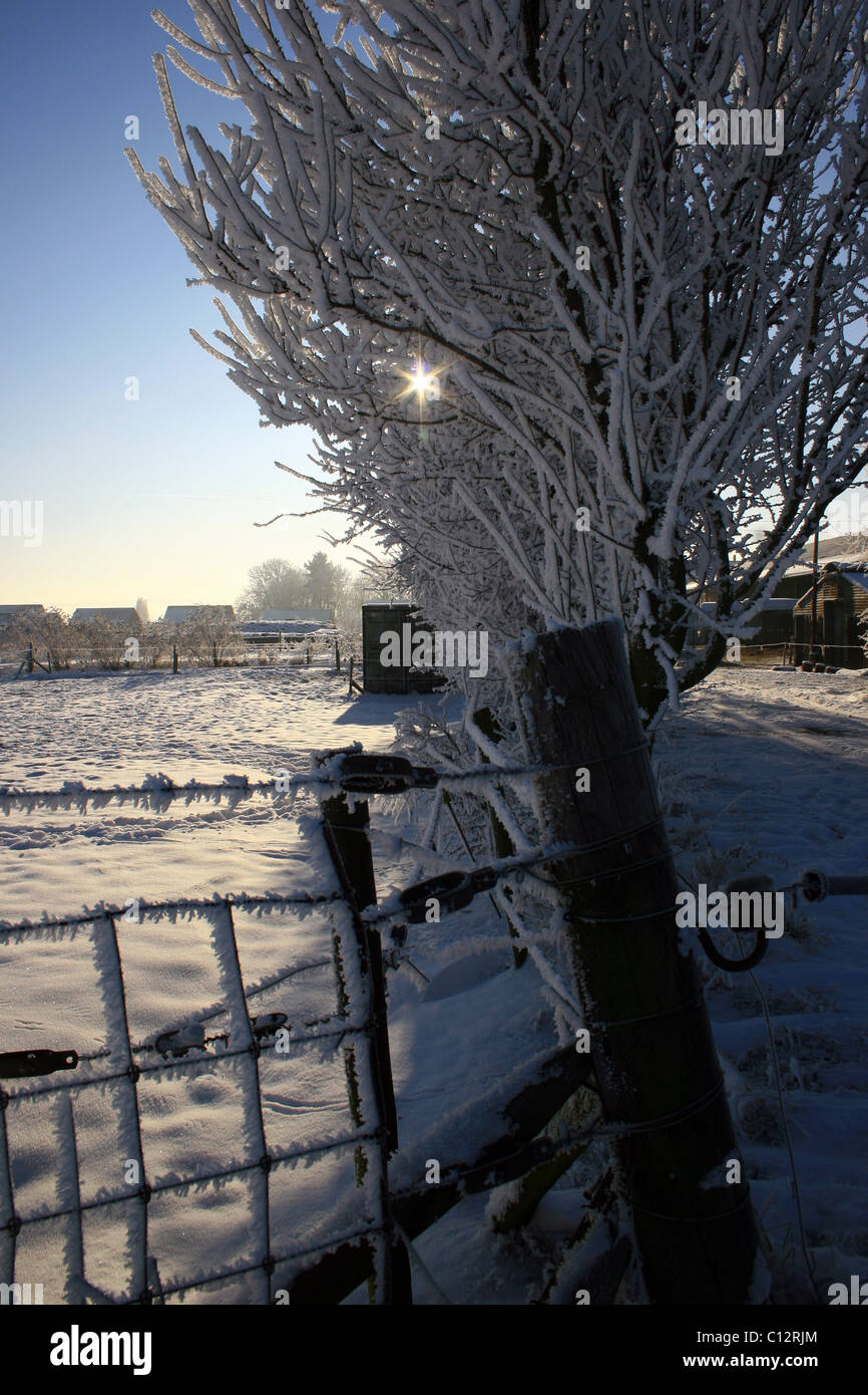 Vedrin hi-res stock photography and images - Alamy