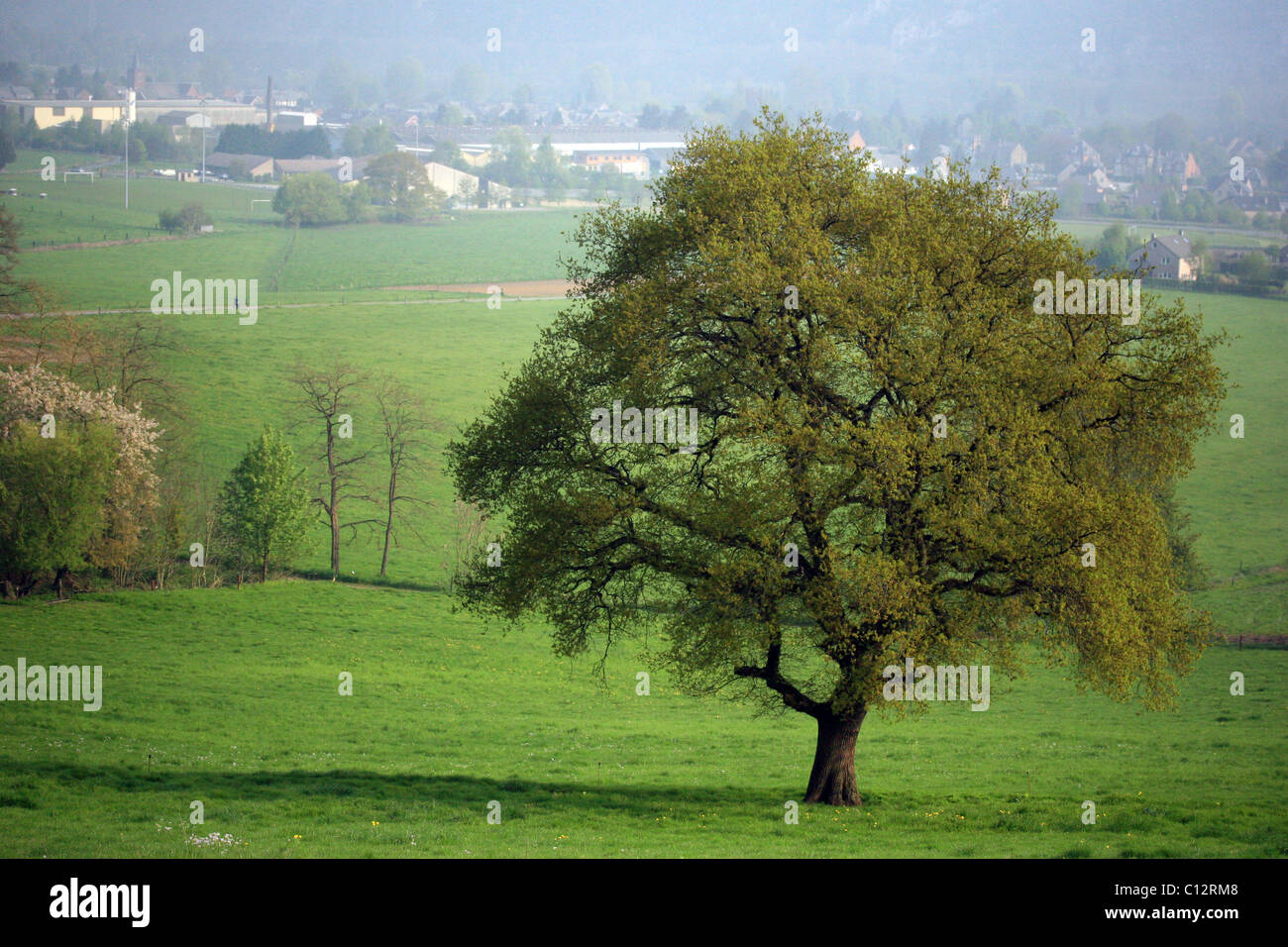 Wallonie, Senenne, Belgium Stock Photo - Alamy