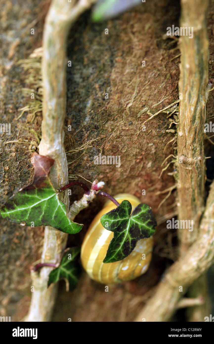 Wallonie, Senenne, Belgium Stock Photo - Alamy