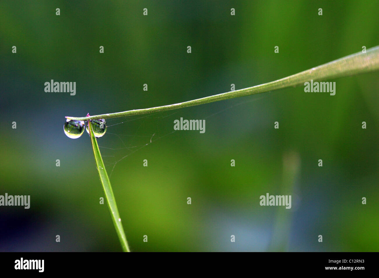 Wallonie, Senenne, Belgium Stock Photo - Alamy