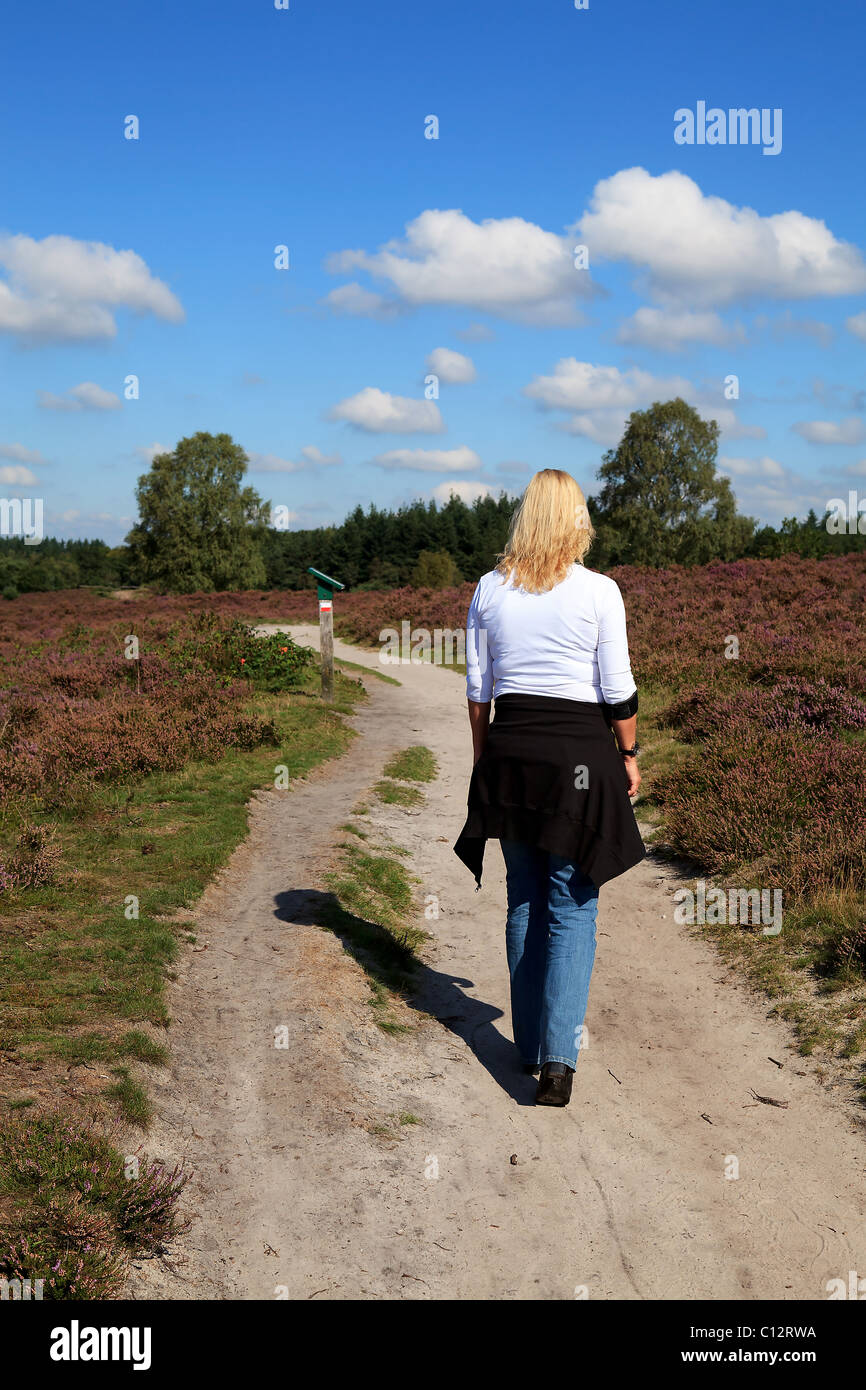 woman is walking in typical Dutch nature on sunny day Stock Photo - Alamy