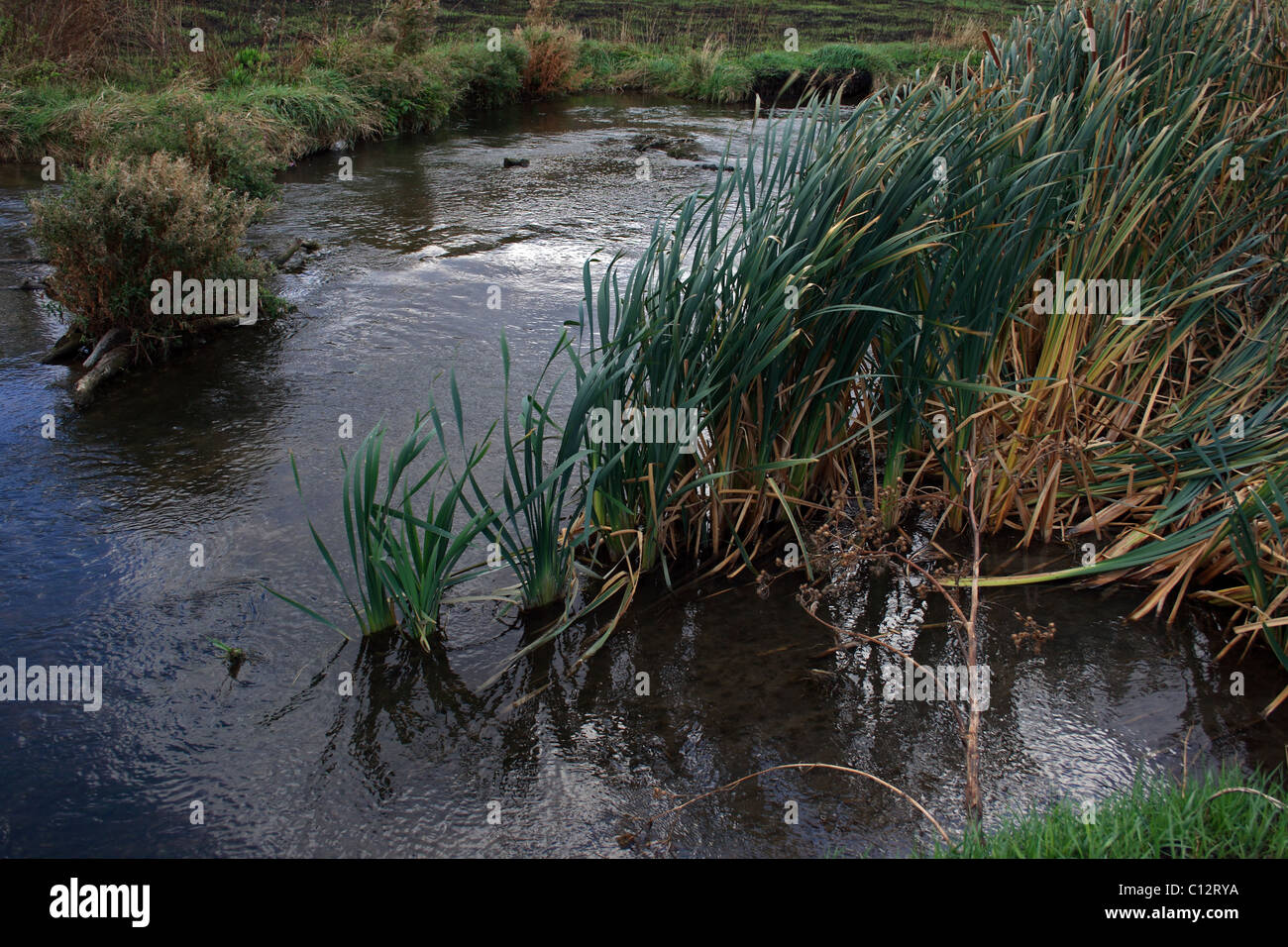 landscape with small river Stock Photo - Alamy