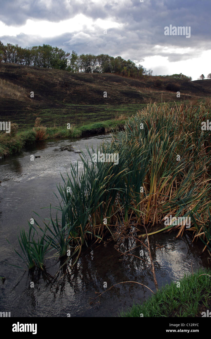 landscape with small river Stock Photo - Alamy