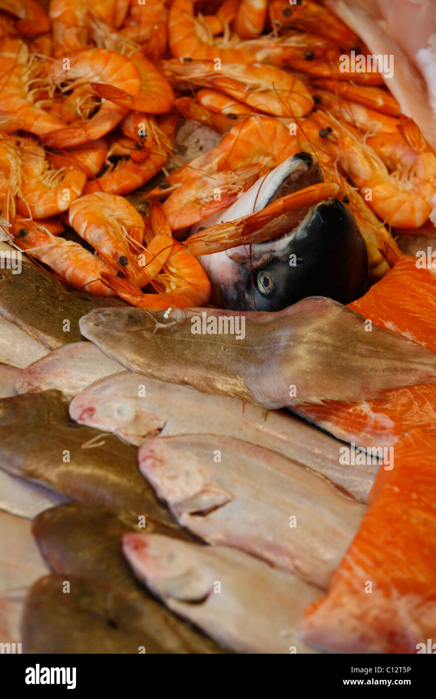 Healthy fish seafood mediteranean hi-res stock photography and images ...