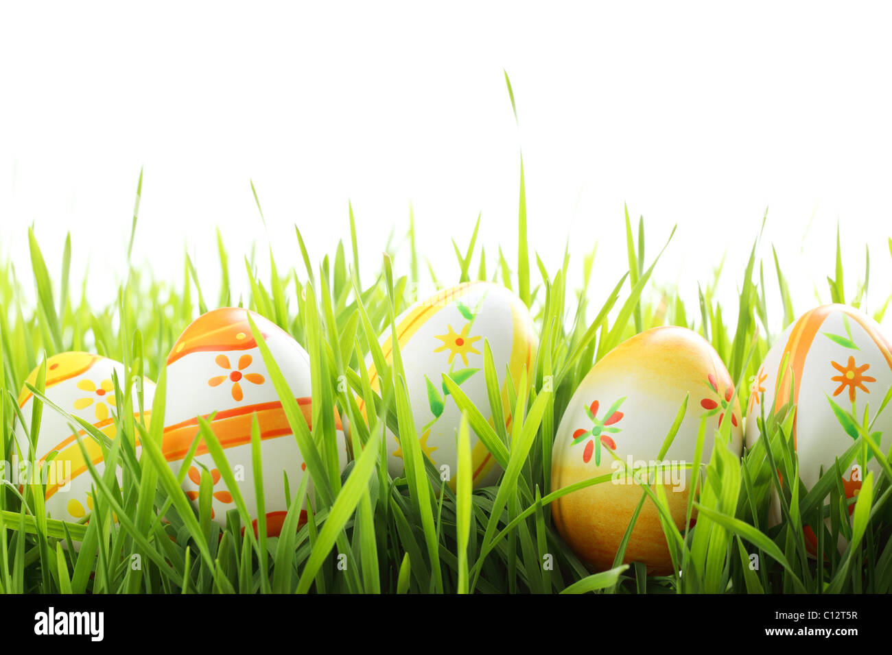 Row of Easter eggs in Fresh Green Grass Stock Photo - Alamy