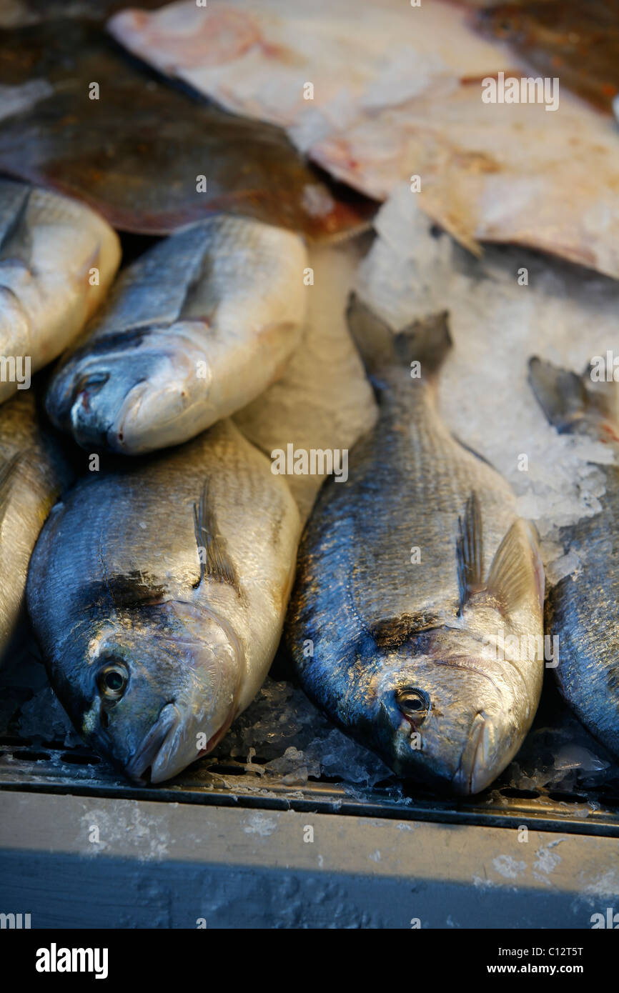 Healthy fish seafood mediteranean hi-res stock photography and images ...