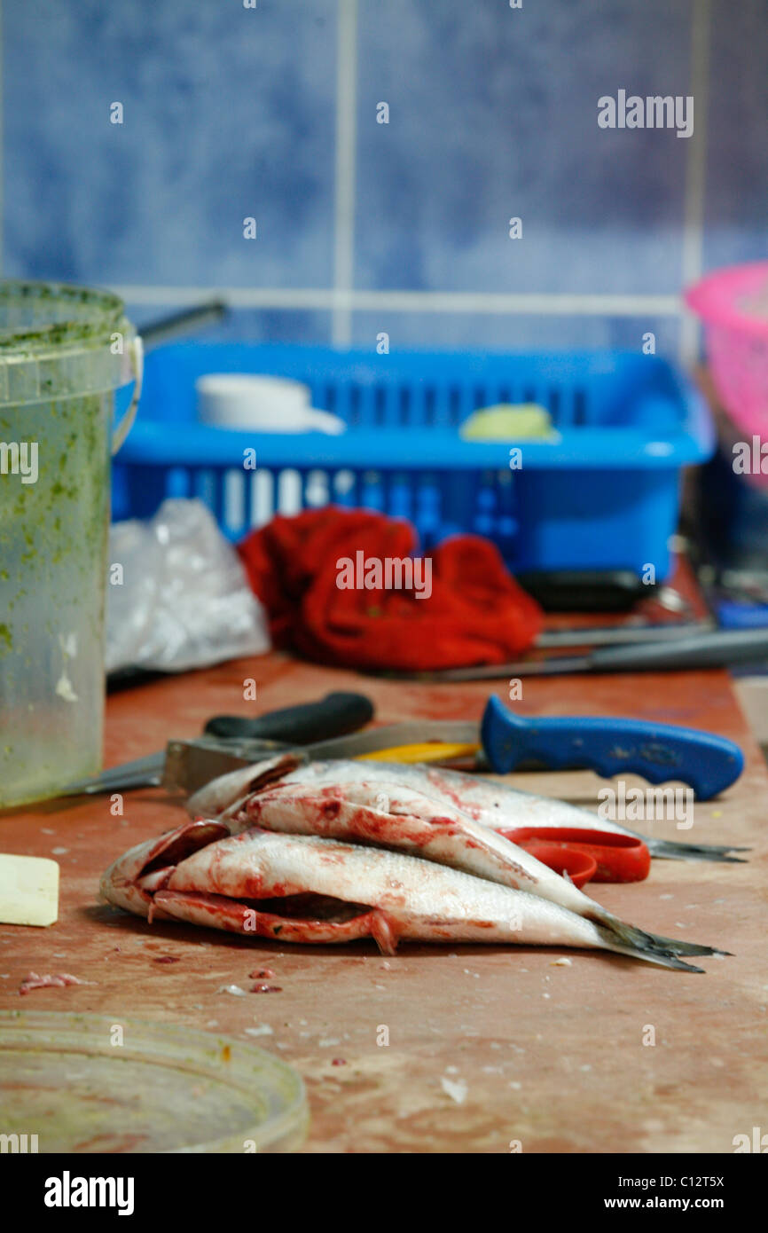 Fish On Table Stock Photo - Alamy