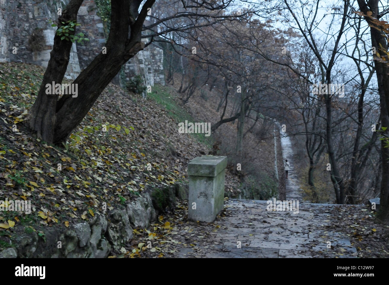 Path of Royal palace, Hungary, Budapest Stock Photo - Alamy