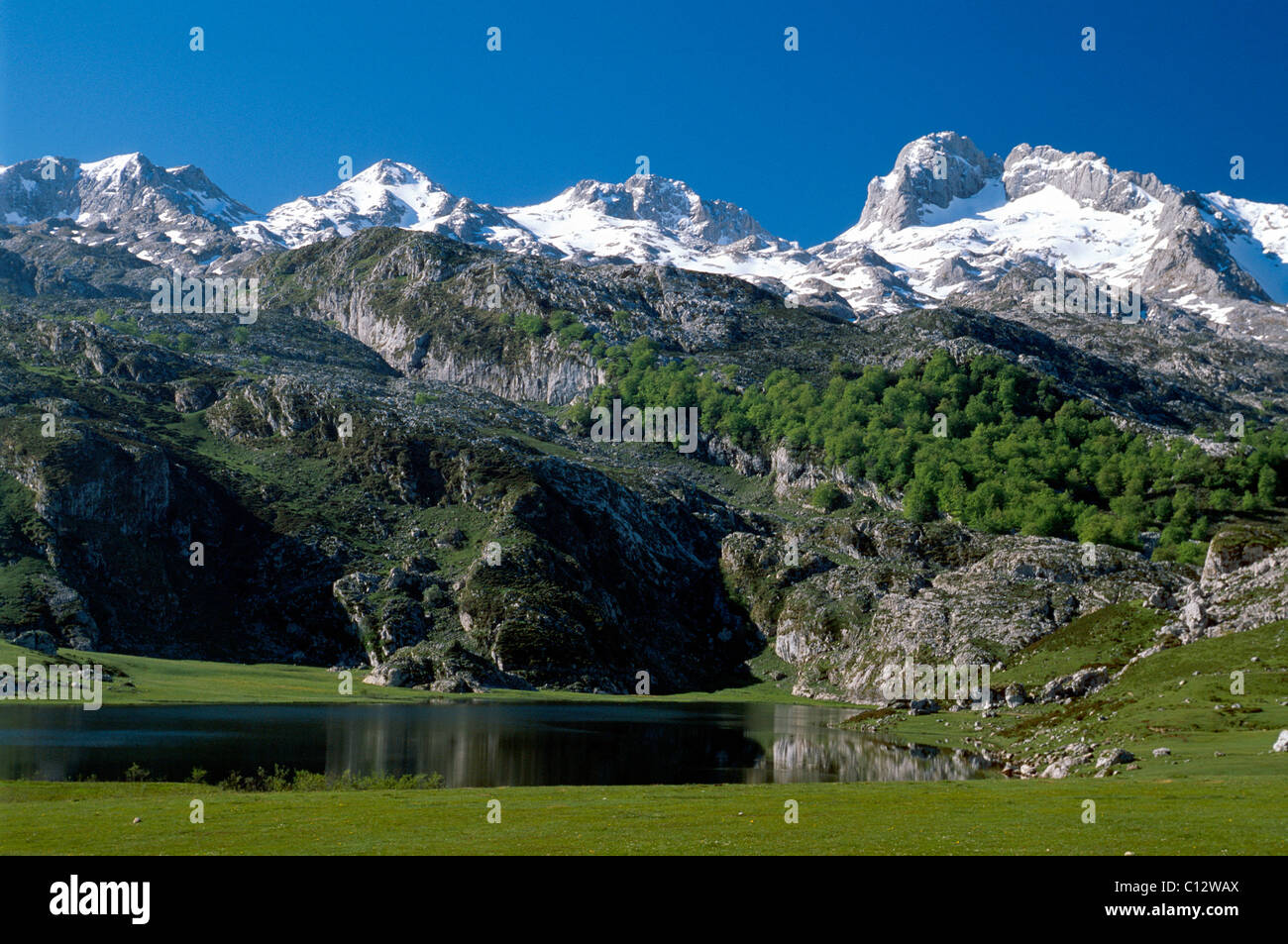 Asturia, spain hi-res stock photography and images - Alamy