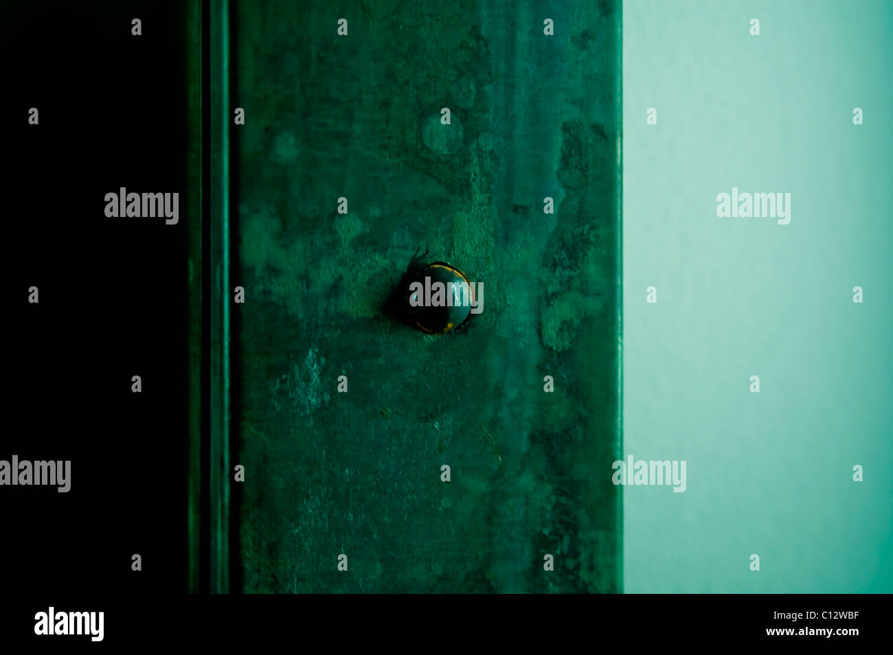 Green painted metal rivets Stock Photo - Alamy