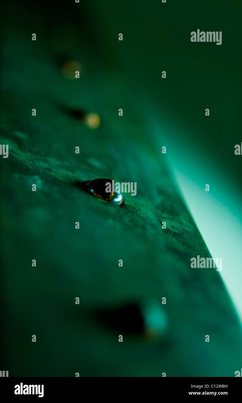 Green painted metal rivets Stock Photo - Alamy