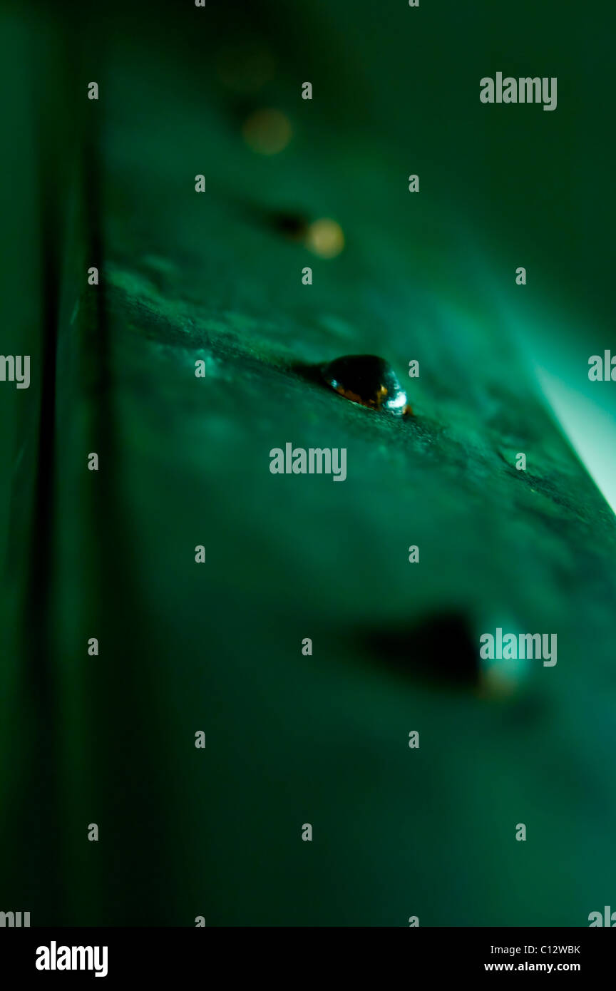 Green painted metal rivets Stock Photo - Alamy