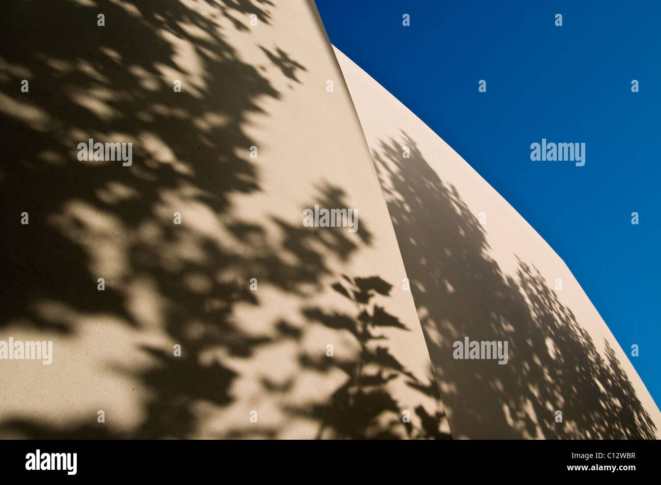 Leaf shadows on building exterior Stock Photo - Alamy