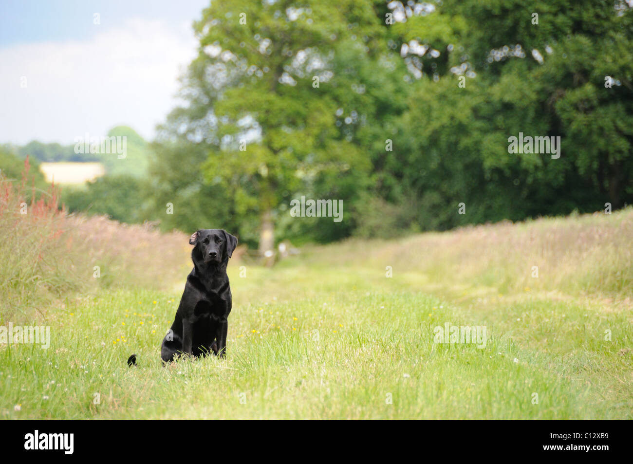 Stay in black hi-res stock photography and images - Alamy