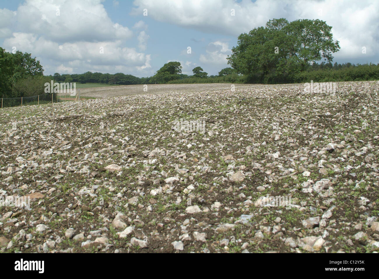 Maise hi-res stock photography and images - Alamy