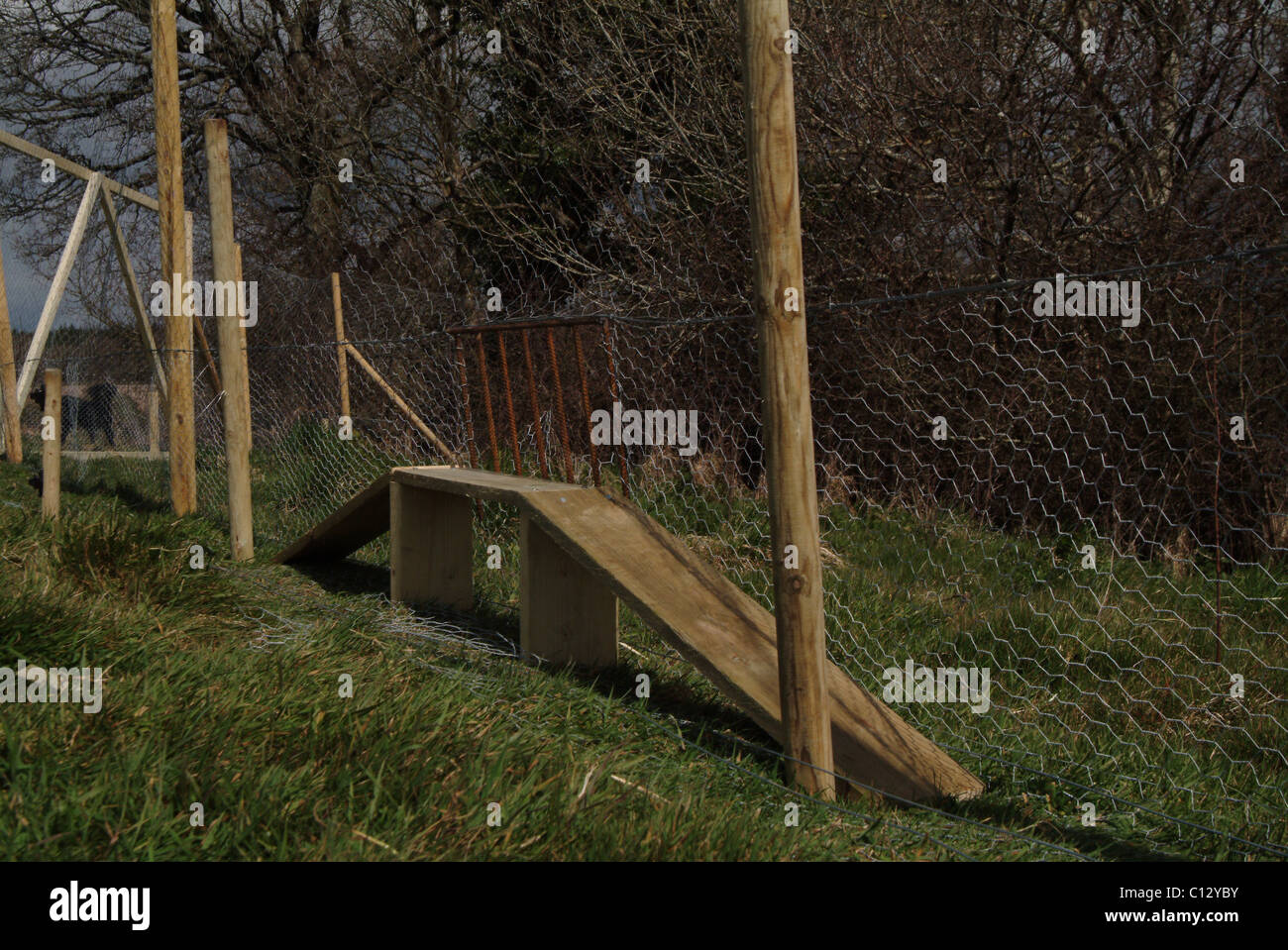 Fox proof re entry funnel for a pheasant pen Stock Photo - Alamy