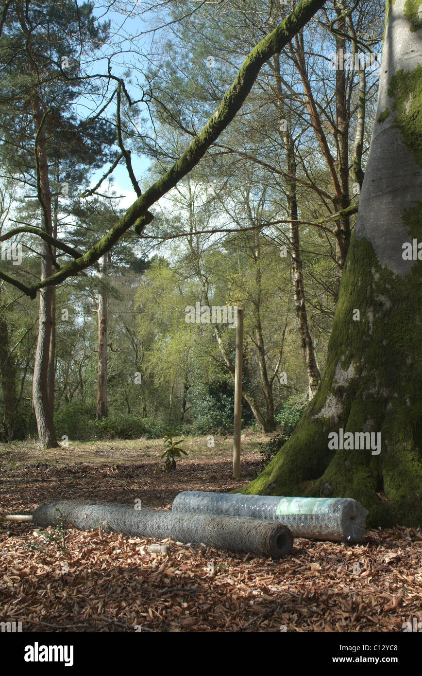 Wire game hi-res stock photography and images - Alamy