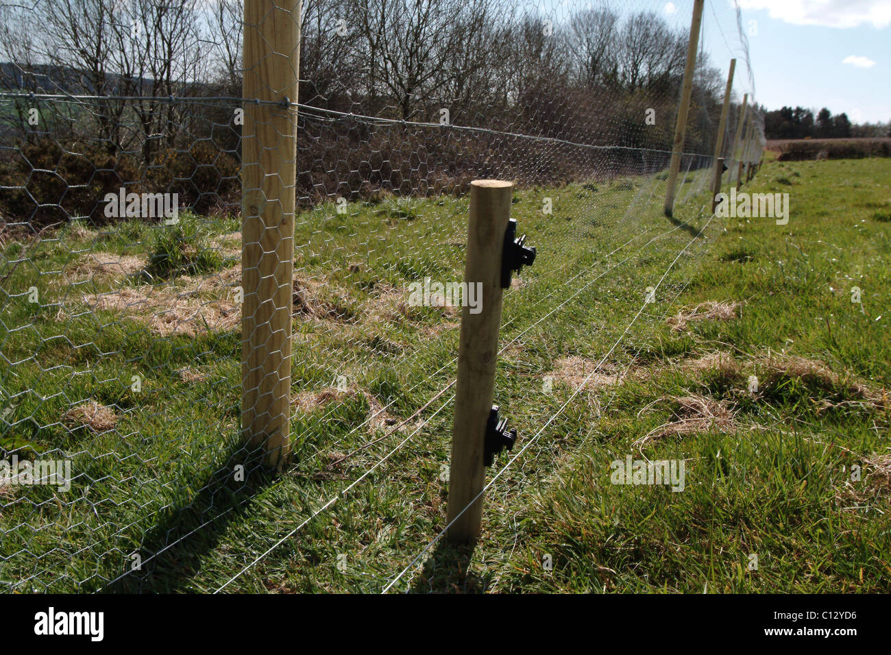 Pheasant pen fencing and electric fence Stock Photo - Alamy