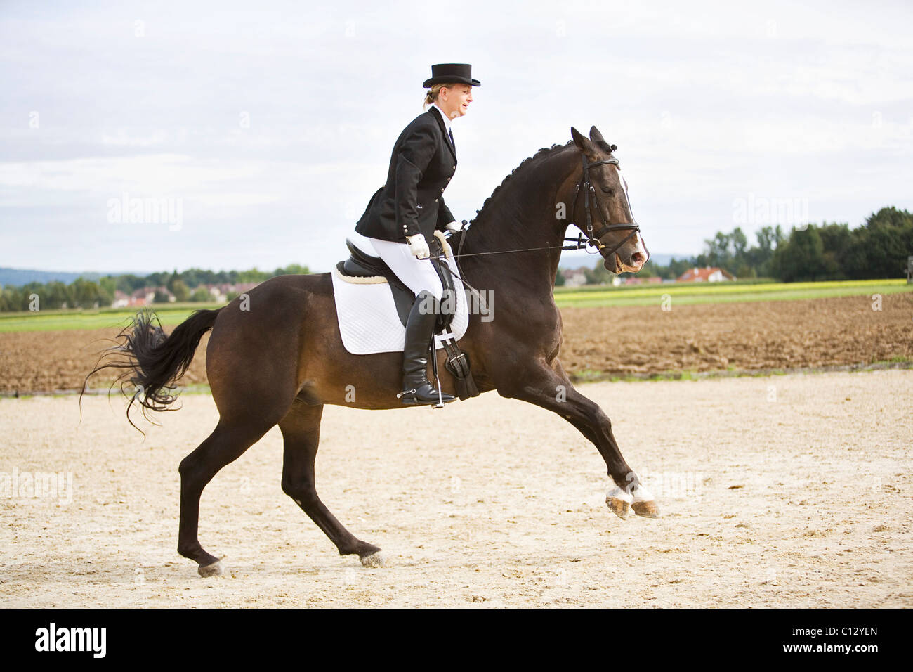 Female Dressage Rider High Resolution Stock Photography and Images - Alamy