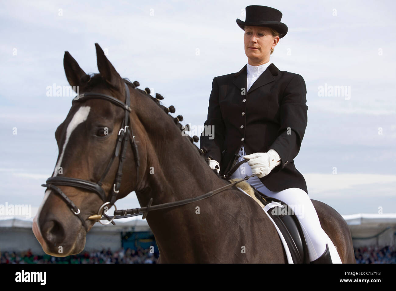 Female Dressage Rider High Resolution Stock Photography and Images - Alamy