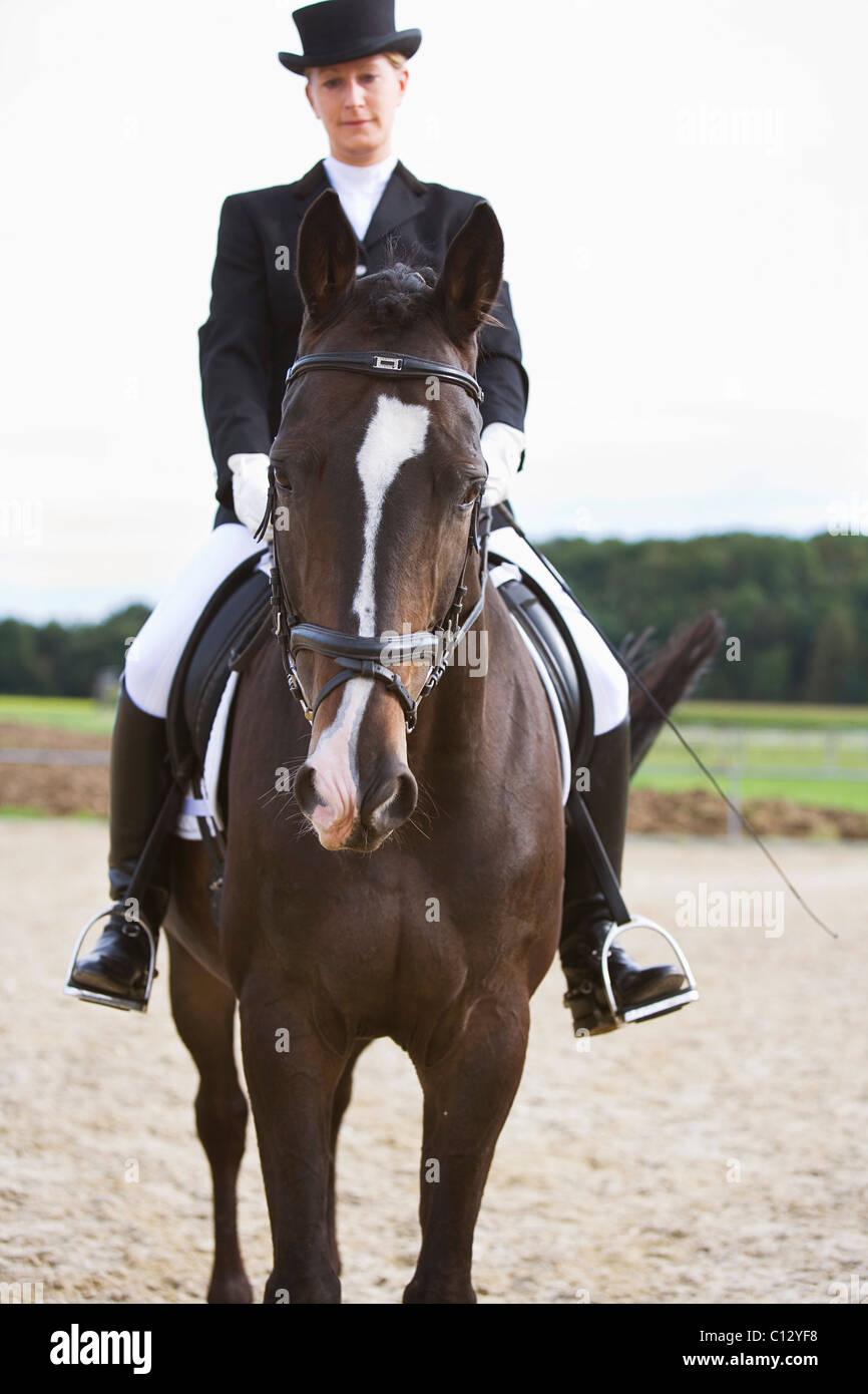 Female Dressage Rider High Resolution Stock Photography and Images - Alamy