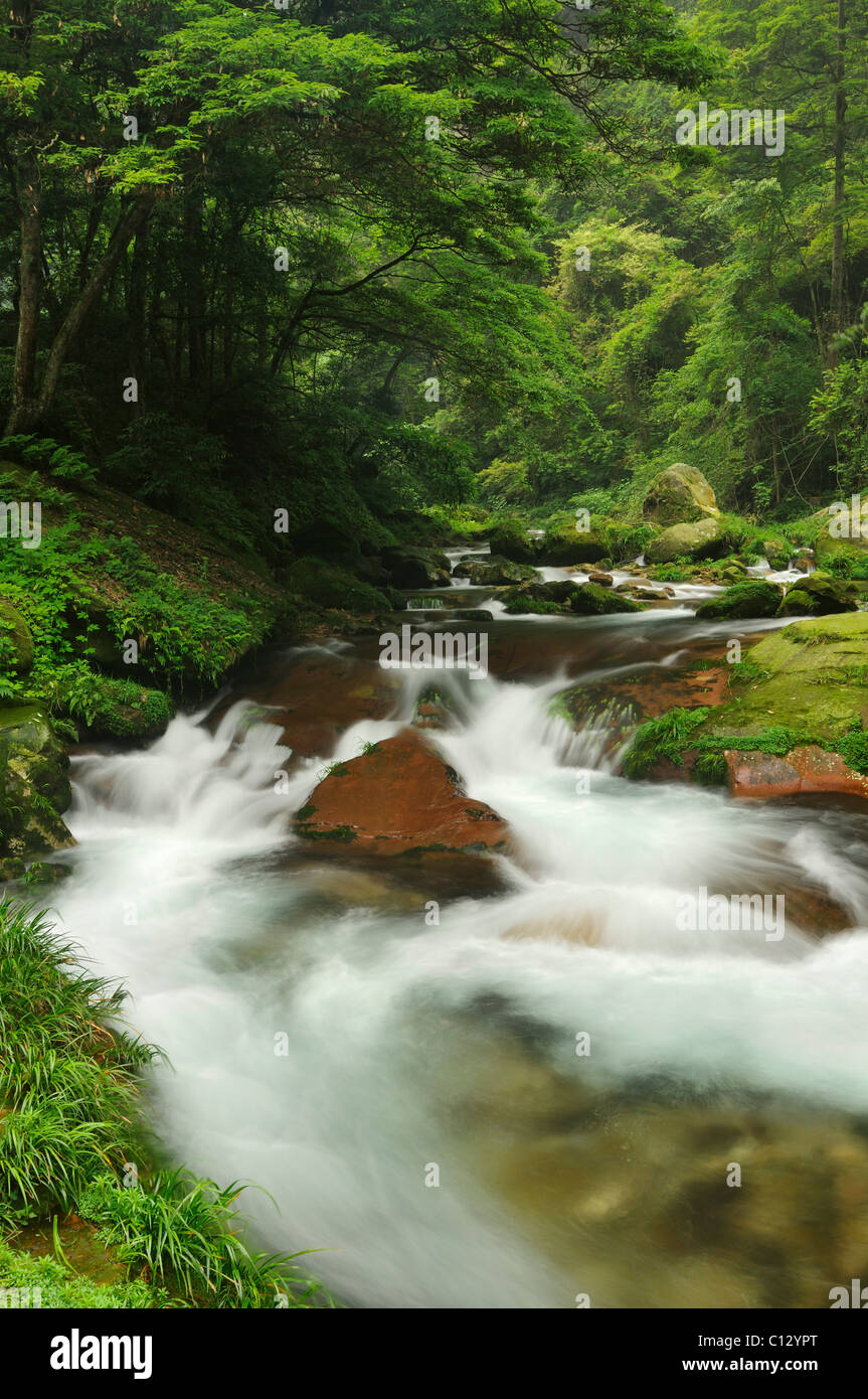Golden whip hi-res stock photography and images - Alamy