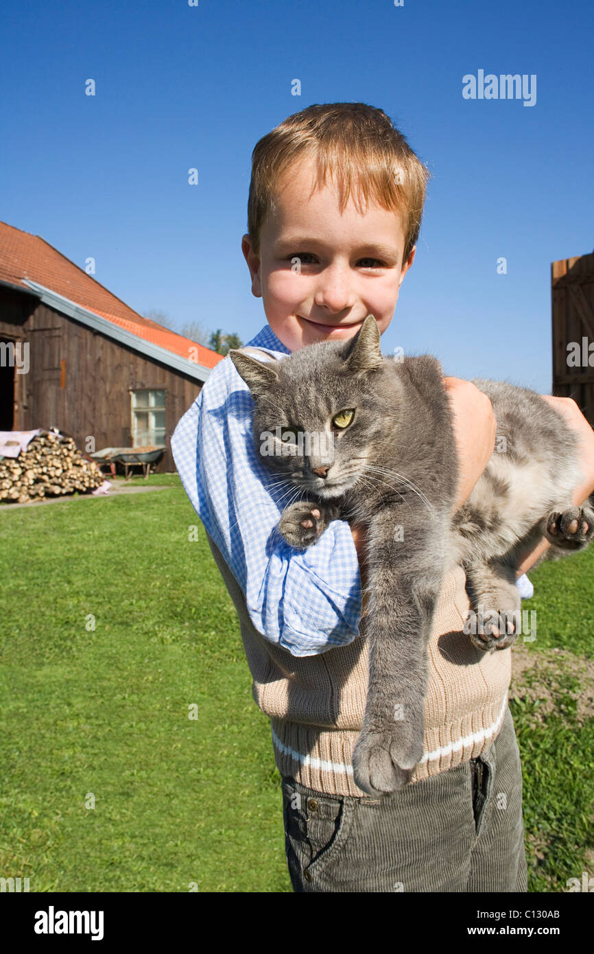 Self Confidence And Cat High Resolution Stock Photography and Images ...