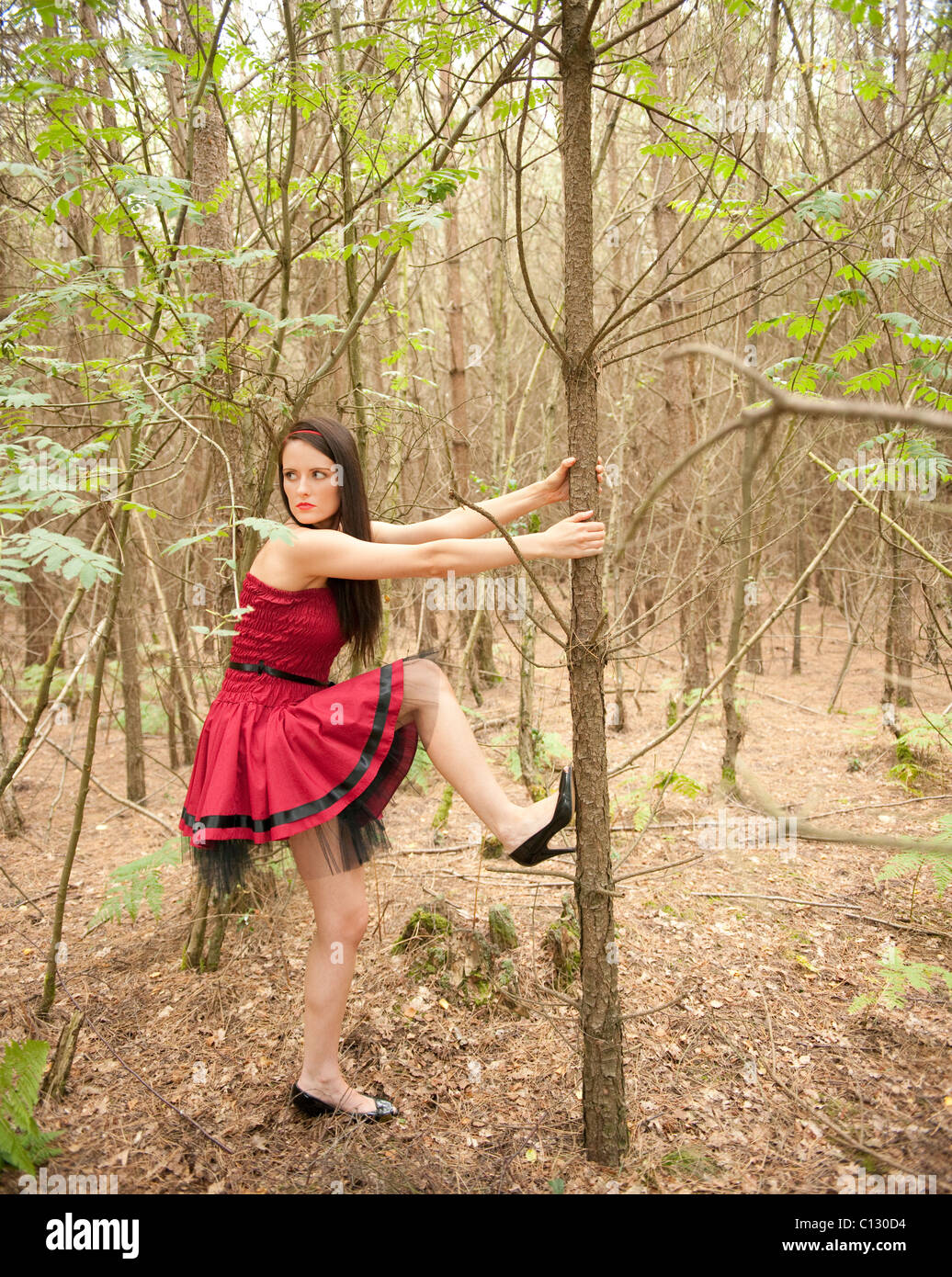 young woman in red dress in a forest Stock Photo - Alamy