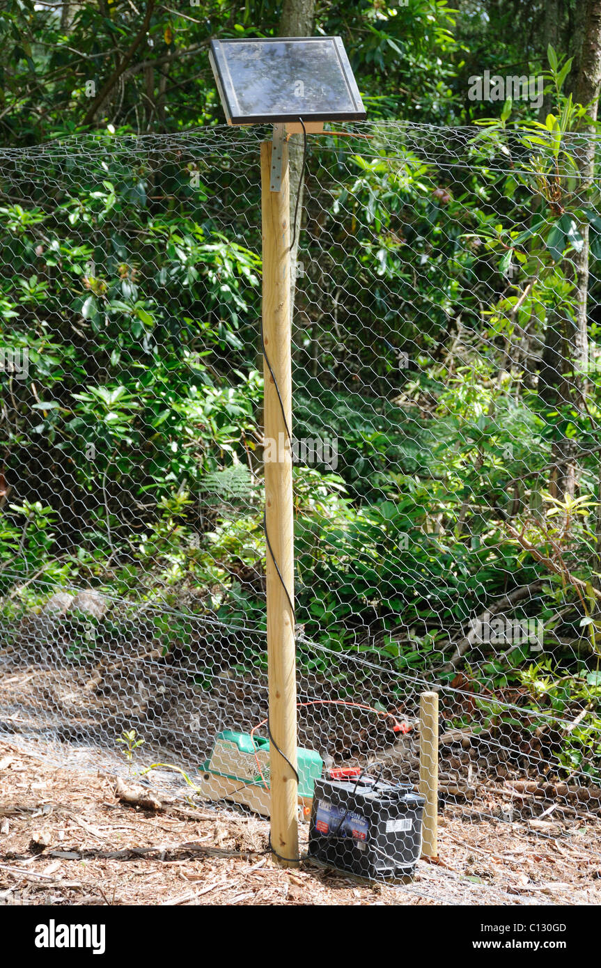 Solar powered battery for electric fencing around a pheasant pen Stock ...