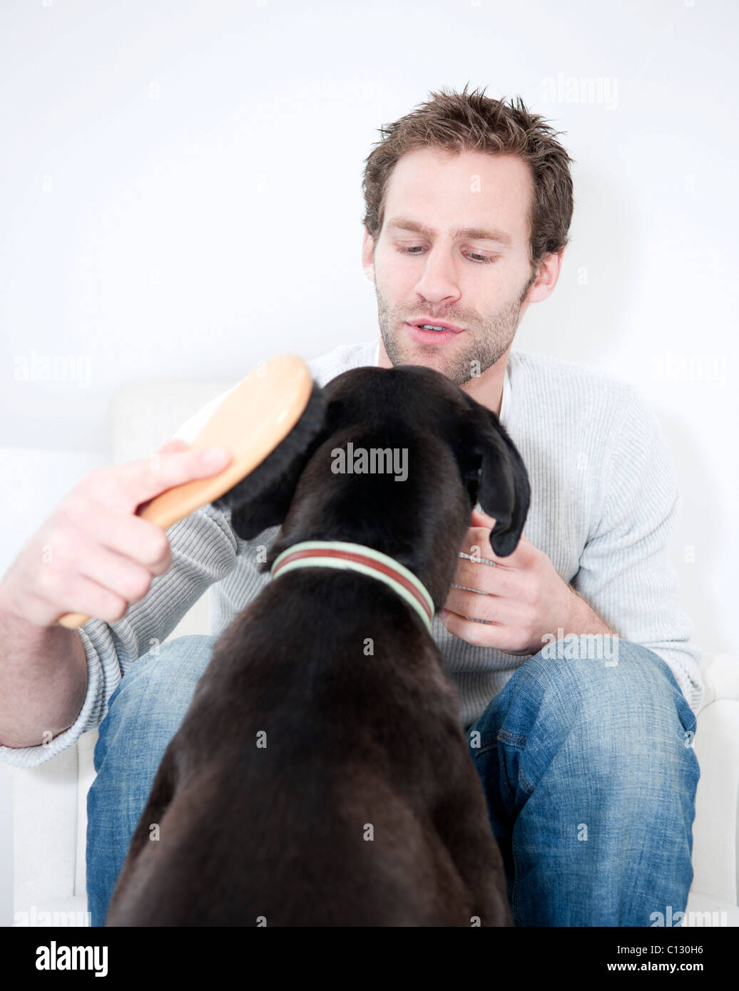 young man cleaning his dog with brush Stock Photo - Alamy