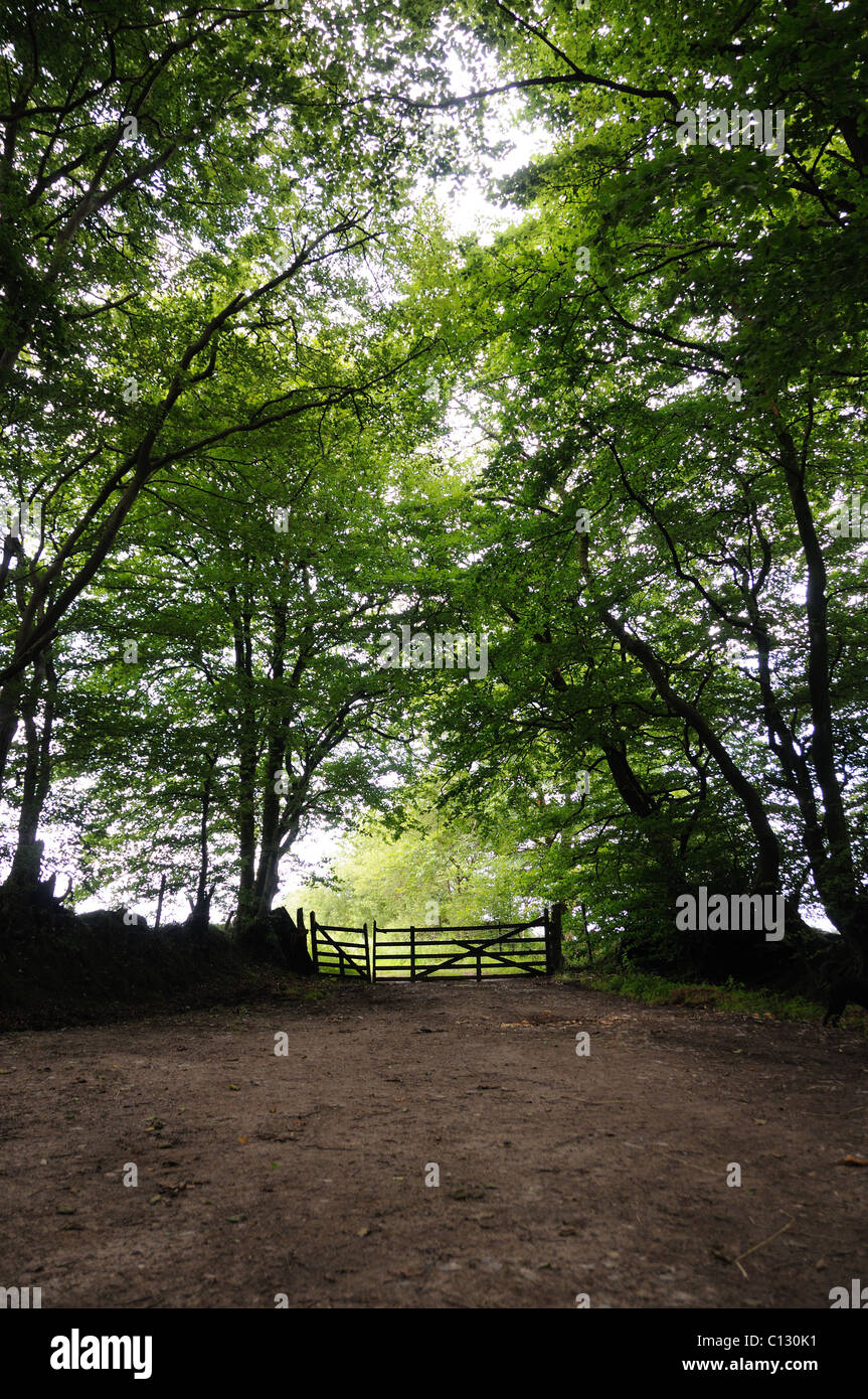 Fencing and gates hi-res stock photography and images - Alamy
