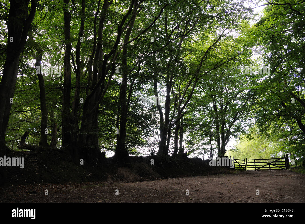 Rustic gates along a footpath Stock Photo - Alamy