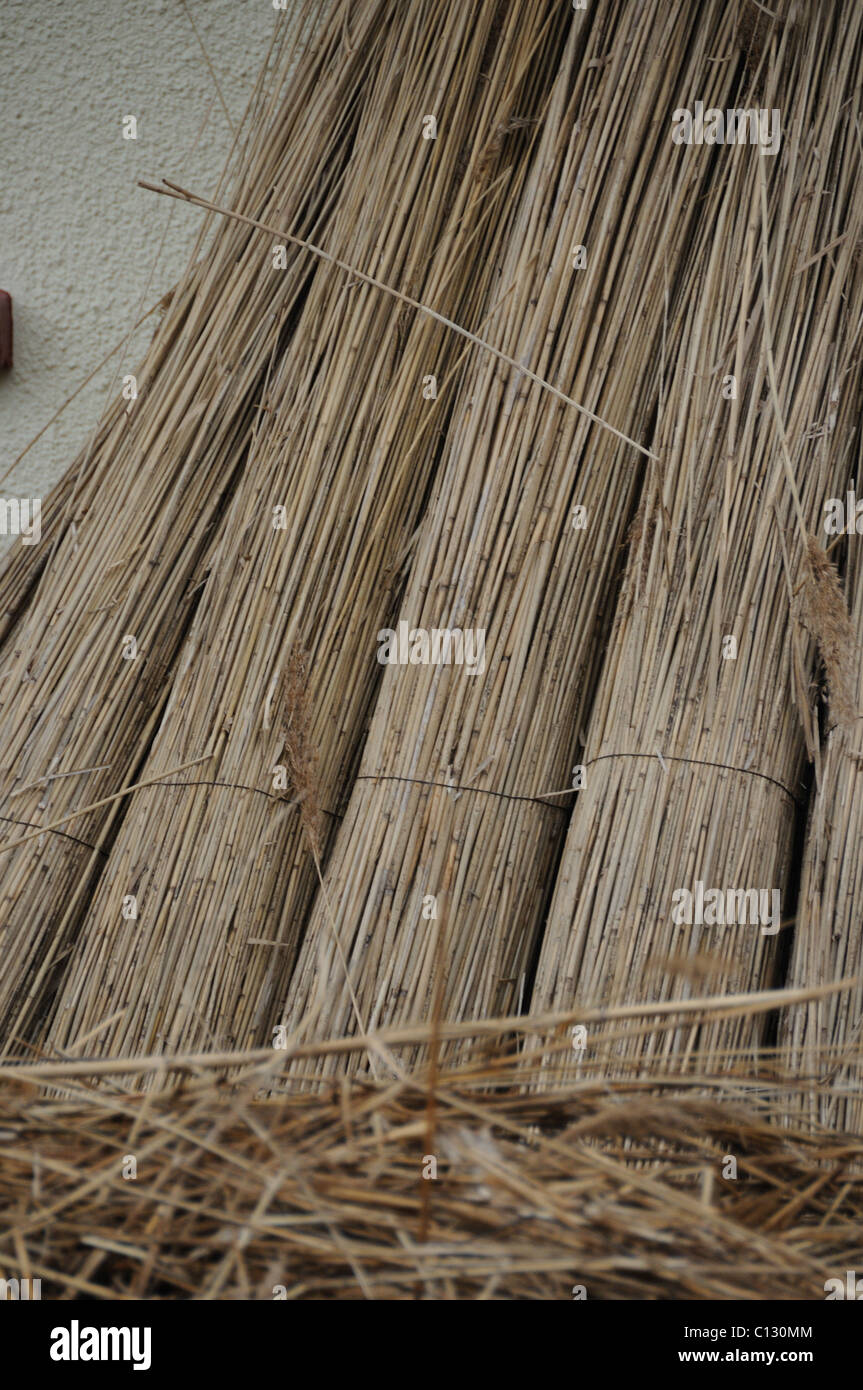 Thatching houses hi-res stock photography and images - Alamy