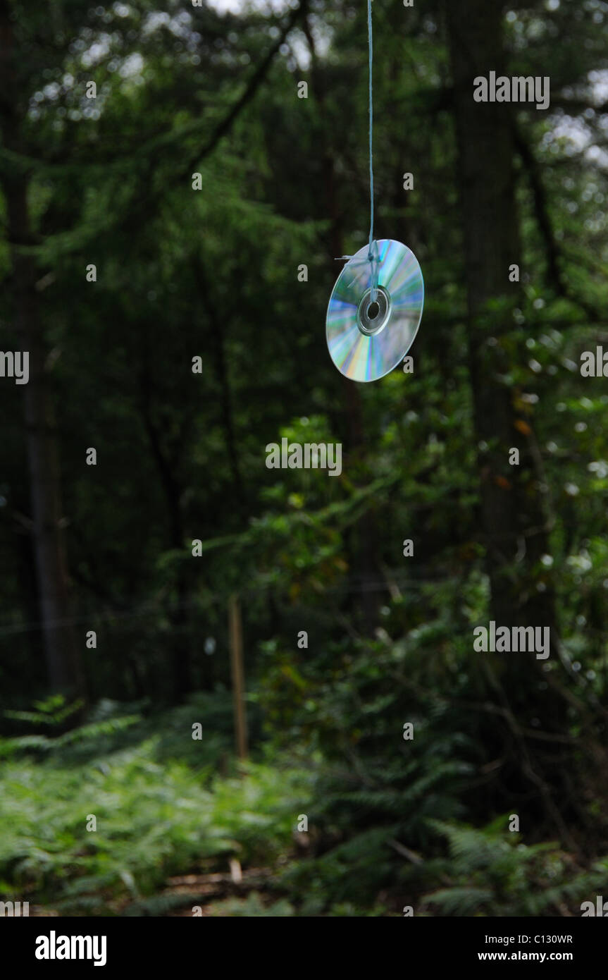 Scarer hi-res stock photography and images - Alamy