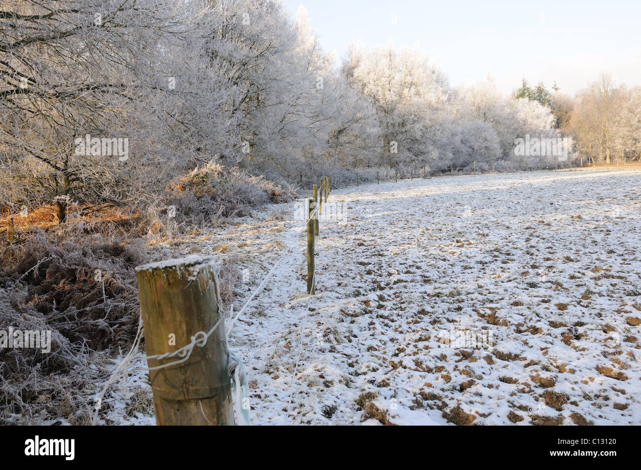 Wintercold hi-res stock photography and images - Alamy