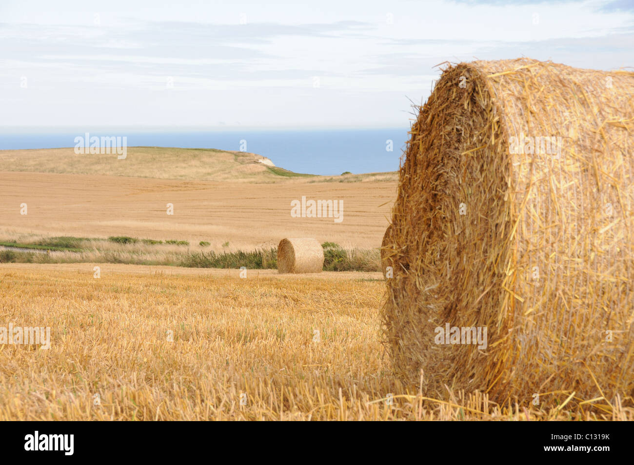 Round haybales hi-res stock photography and images - Alamy
