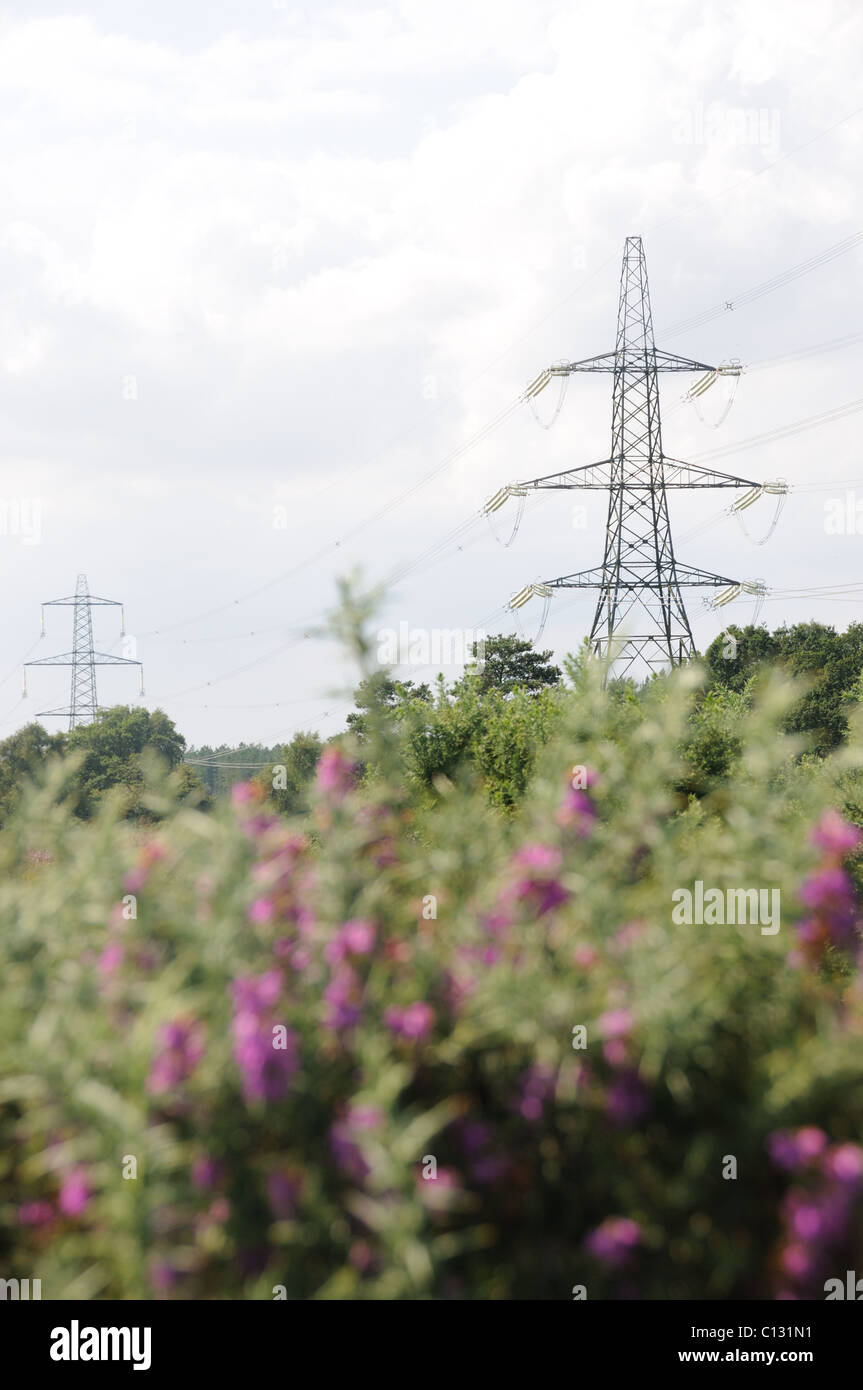 Pylons in the countryside Stock Photo - Alamy