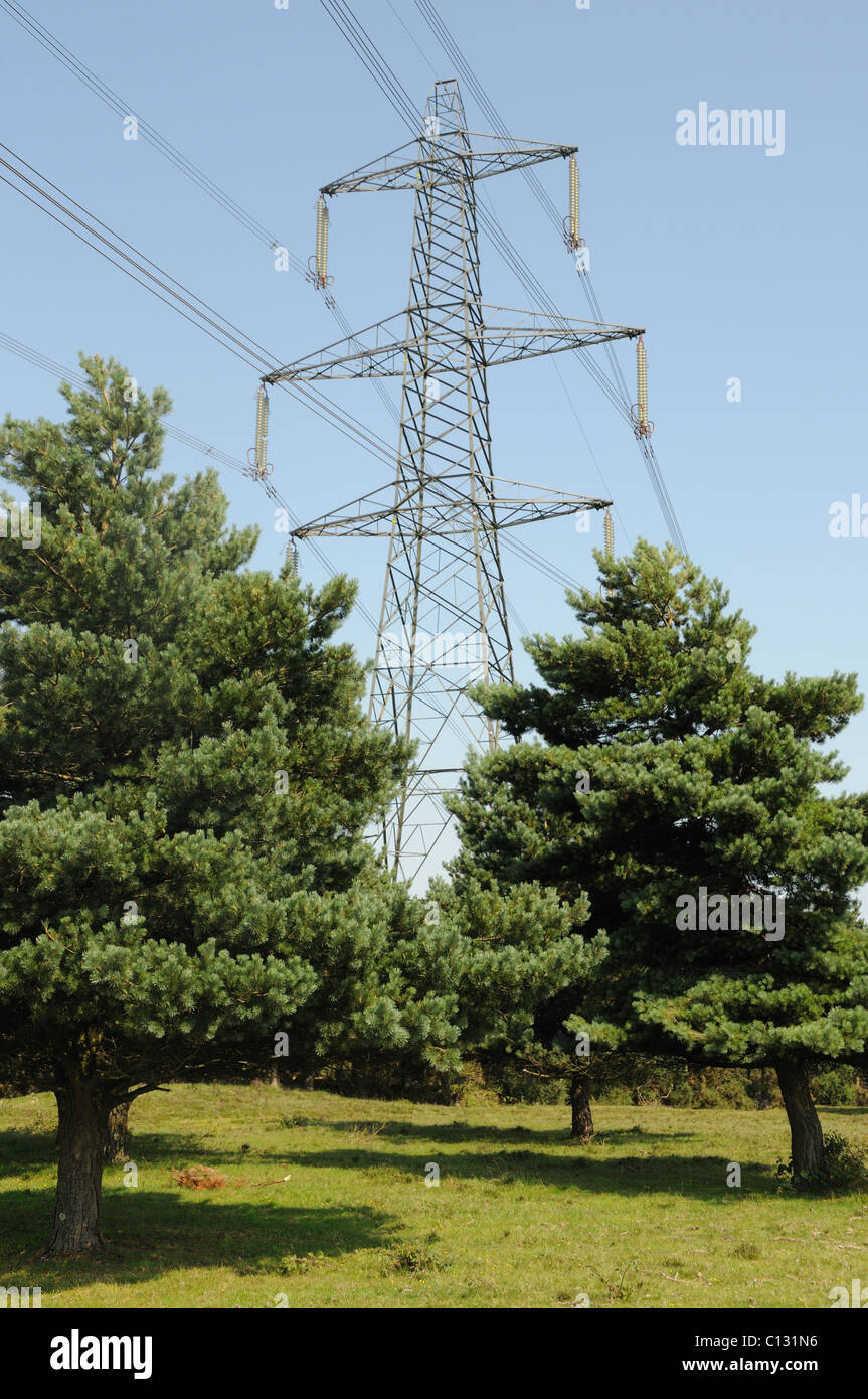 Pylons in the countryside Stock Photo - Alamy