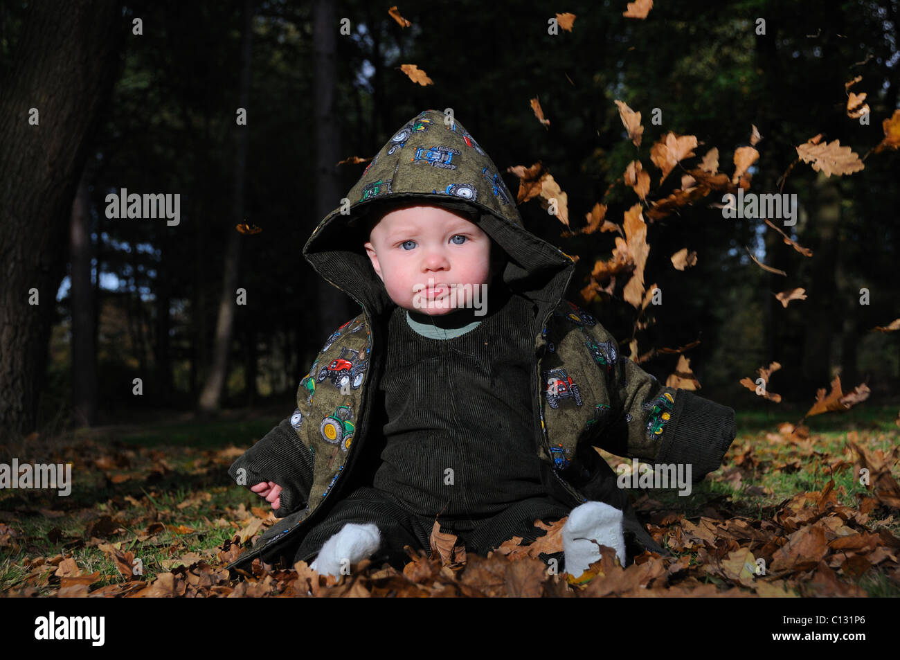 Baby leaves hi-res stock photography and images - Alamy