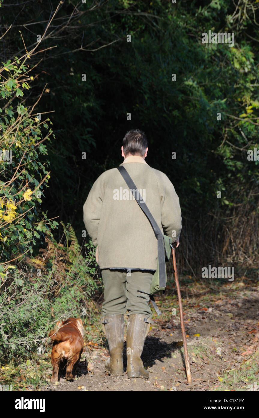 Man walking a cocker spaniel Stock Photo - Alamy
