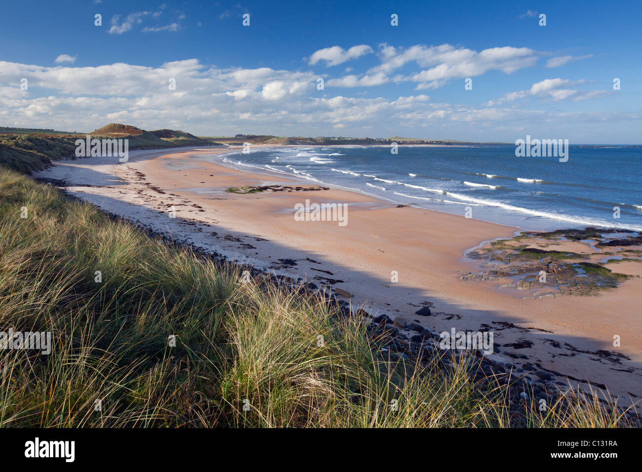 Embleton Bay, view across beach from south, autumn, Northumberland ...