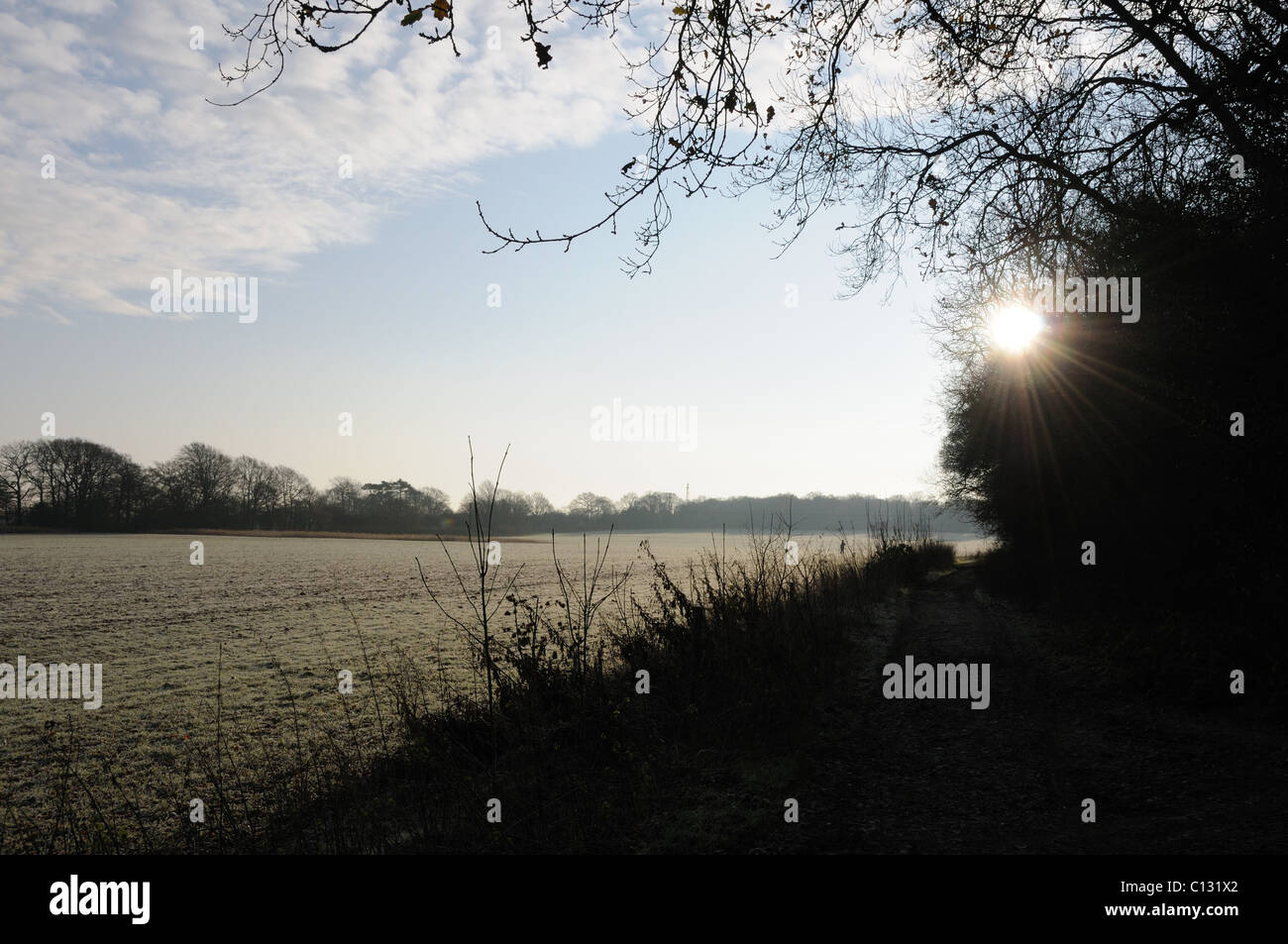 Early morning landscape Stock Photo - Alamy