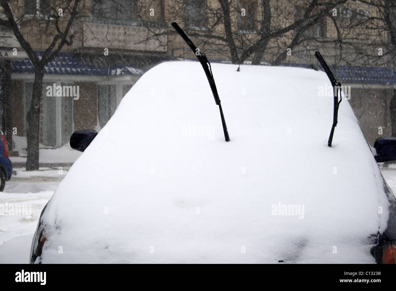 Big rear hi-res stock photography and images - Alamy