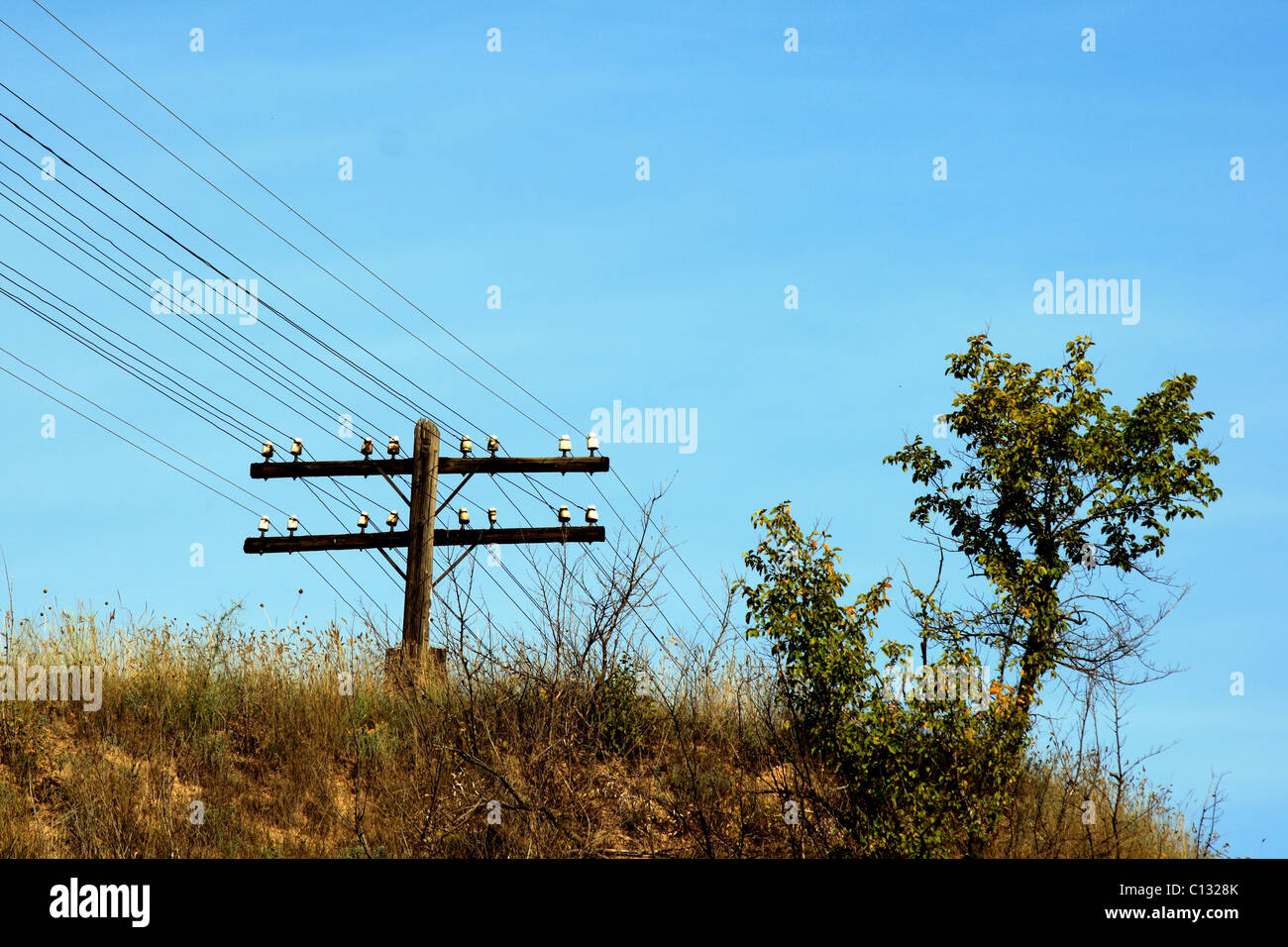 Silhouette electrical tower tree hi-res stock photography and images ...