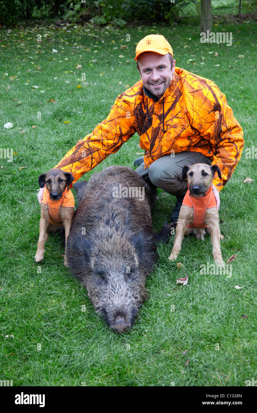 Hunter, with two Westpahlen terriers and wild boar, Lower Saxony ...