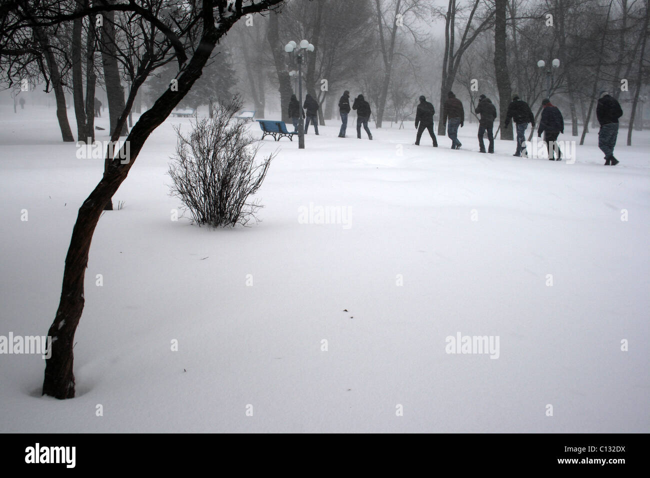 the path can only go one after another Stock Photo - Alamy
